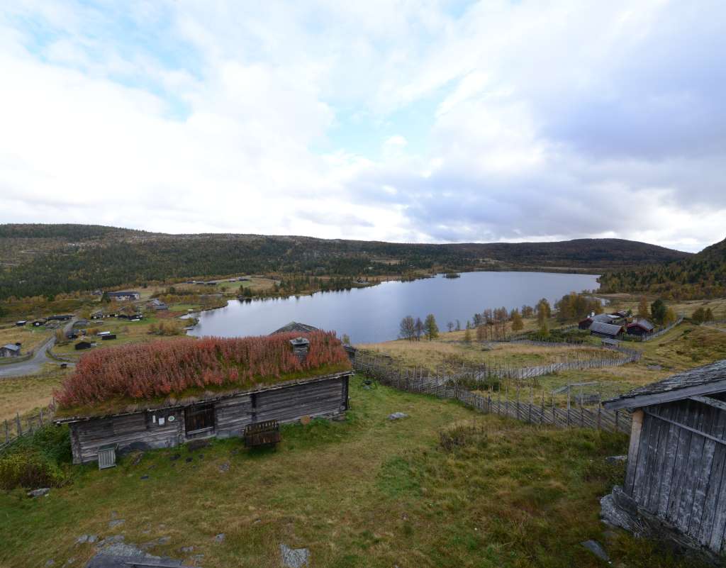 Welcome to TINE. Norwegian farmer-owned producer of premium dairy ...